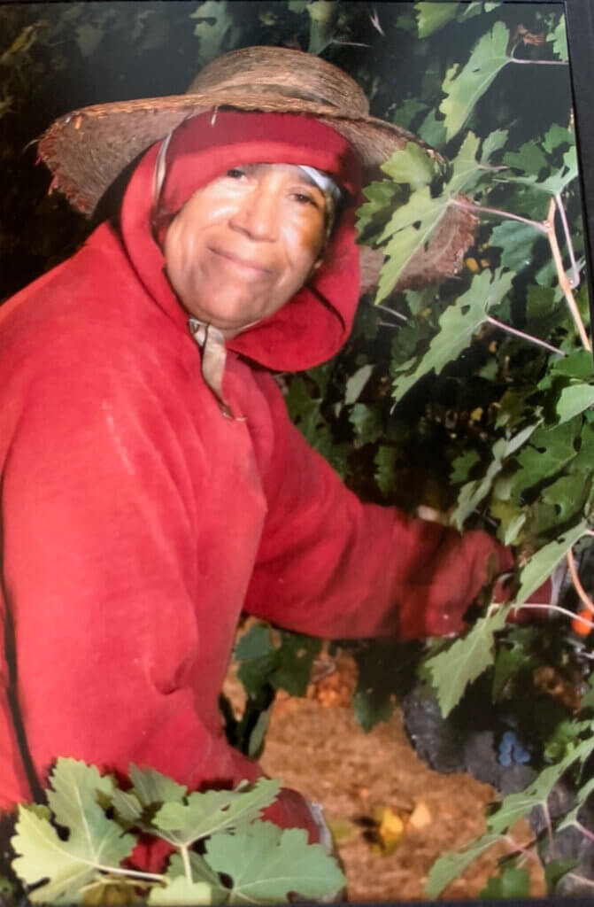 Team Chula Licha walks in Napa Valley to honor Mom - Alzheimers and ...